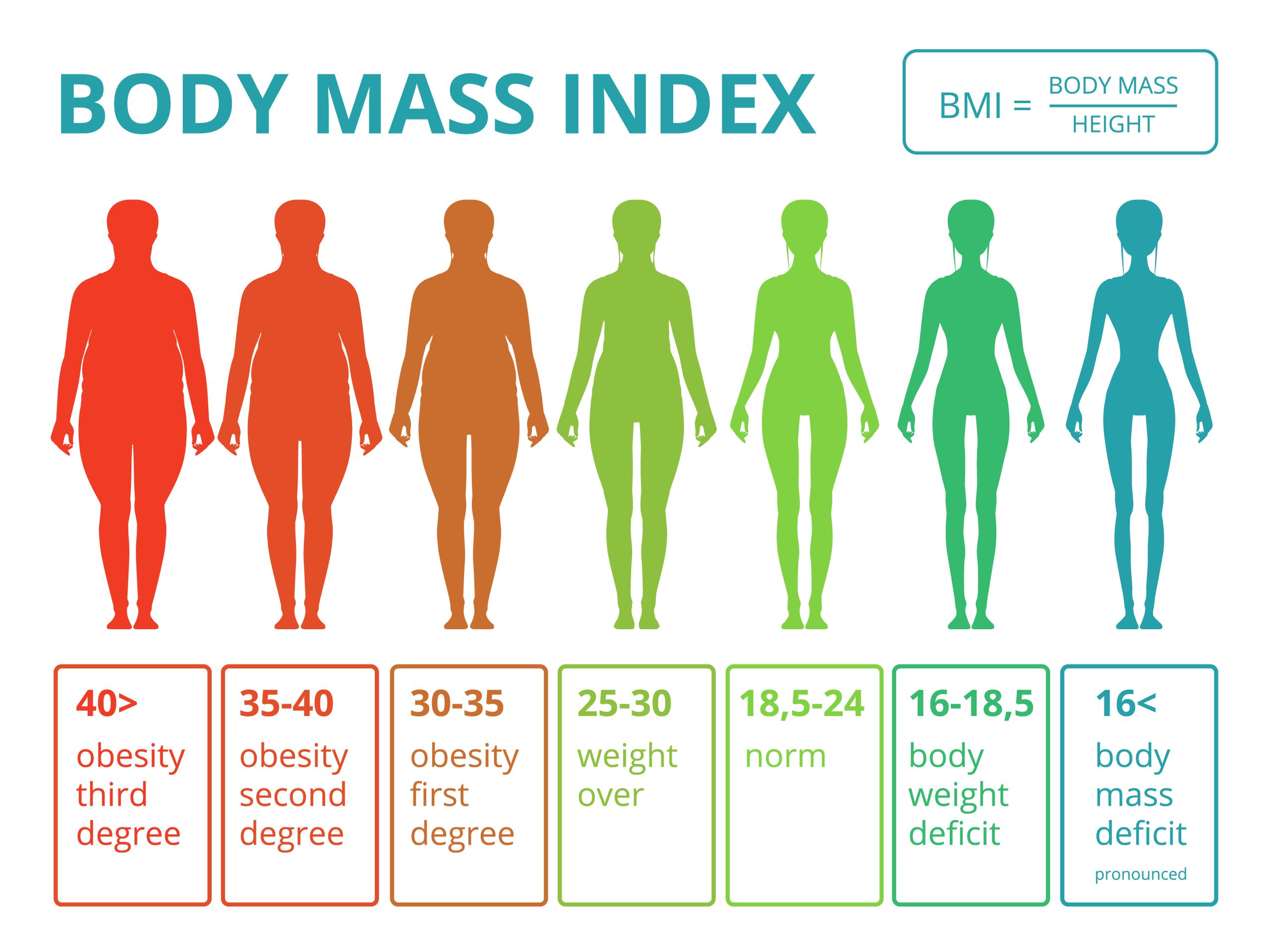 BMI Calculator - Coach Schlon